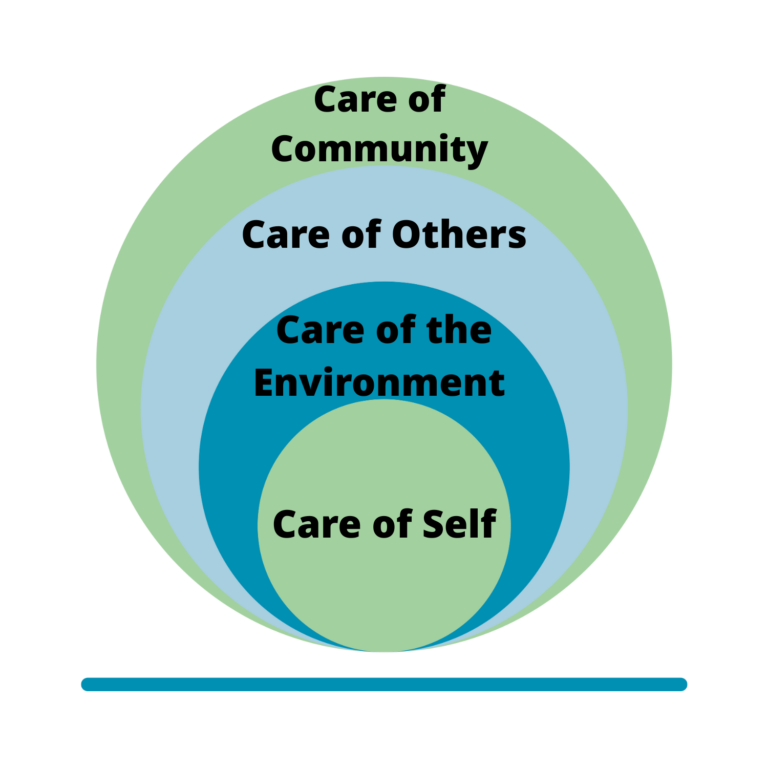 The Real Work of the Adult: Practical Life - Maren Schmidt